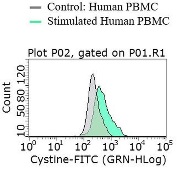 BioTracker Cystine-FITC Live Cell Dye | SCT047